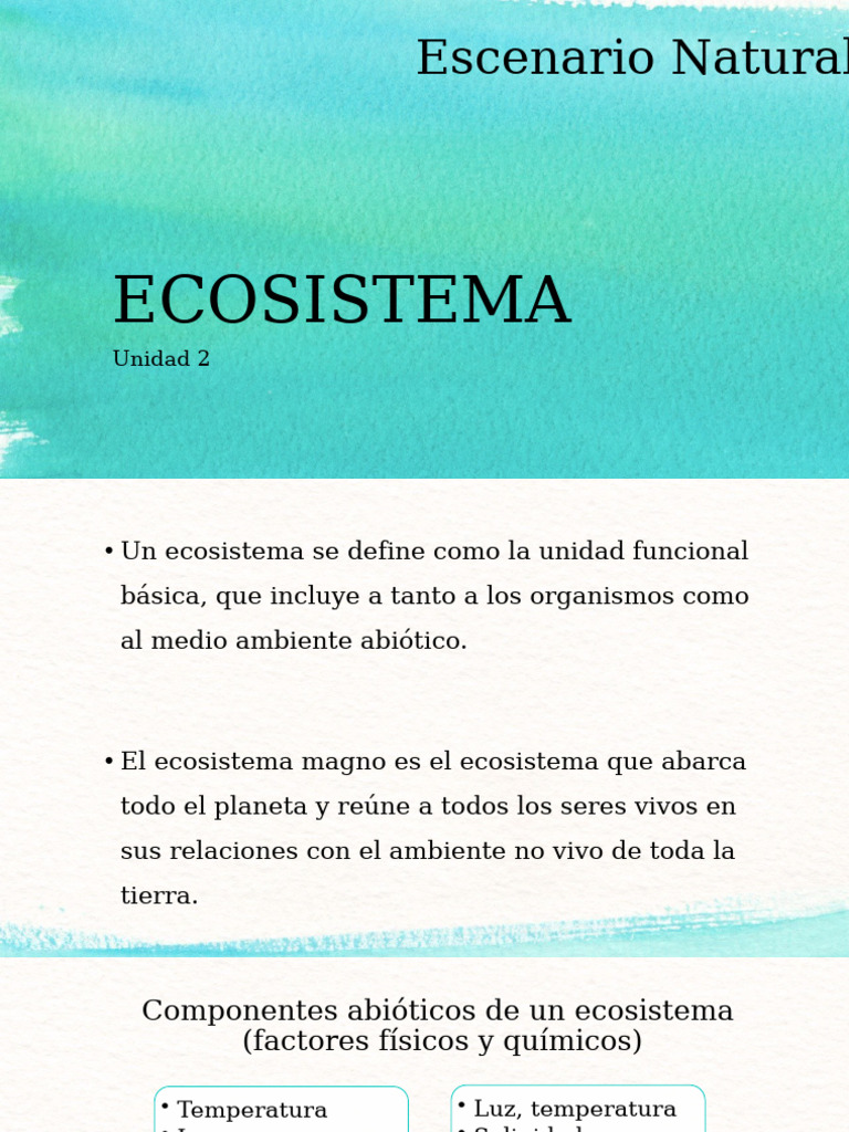 Flujo de energía en ecosistemas | PDF | Ecosistema | Arboles