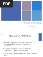 Foramen Lacerum: Anatomía y Función | PDF
