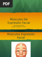 Músculos de La Mímica | PDF | Nariz humana | Anatomía humana