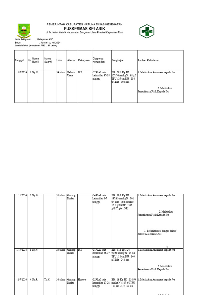 Satu Sehat Format Rekapitulasi Pelayanan ANC 2024 | PDF