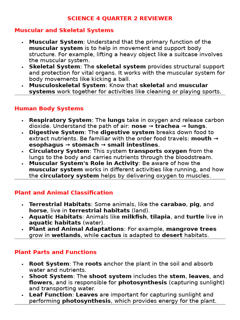 Science 4 Quarter 2 Reviewer | PDF | Muscle | Foods