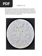 Microbiology Wet Mount Guide | PDF | Microscope | Bacteria