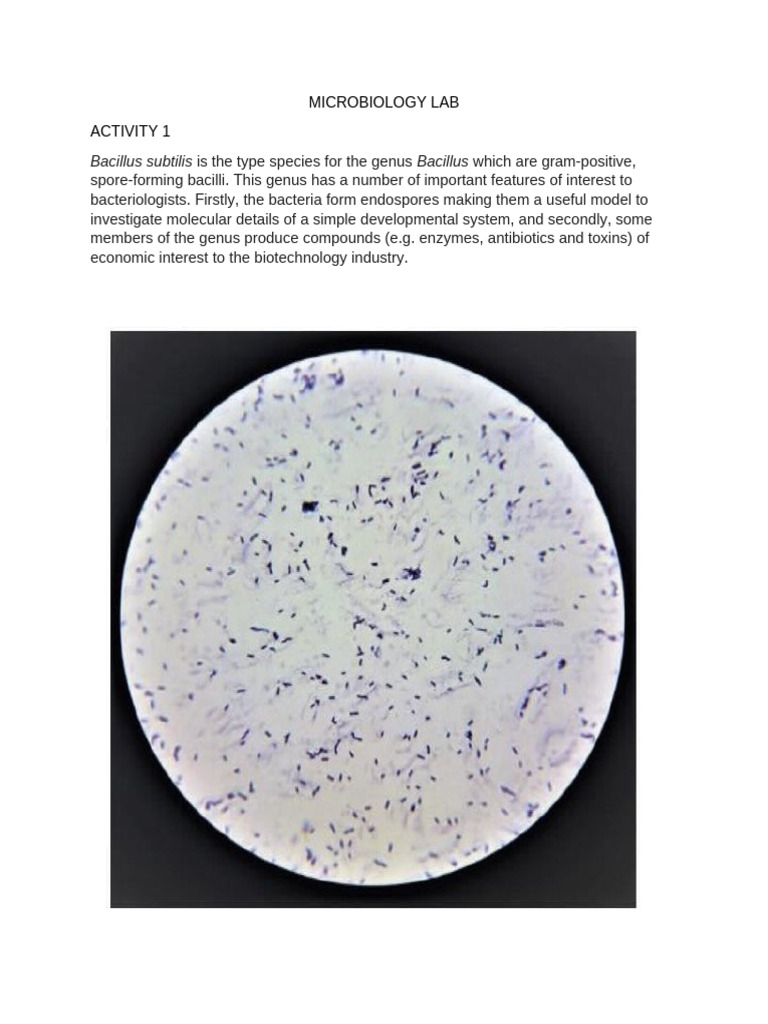 Microbiology Lab | PDF | Fixation (Histology) | Staining