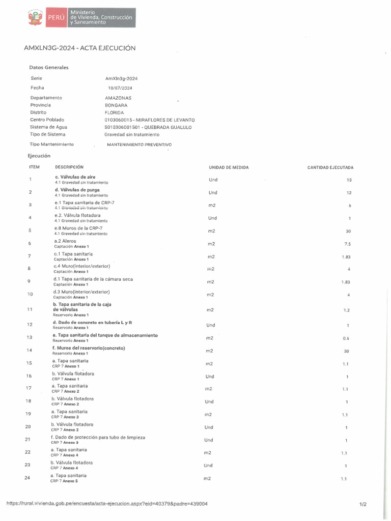 Acta de Ejecucion | PDF