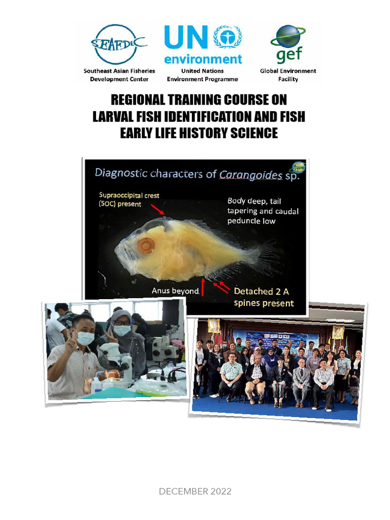 Larval Fish Identification | PDF | Polymerase Chain Reaction | Plankton