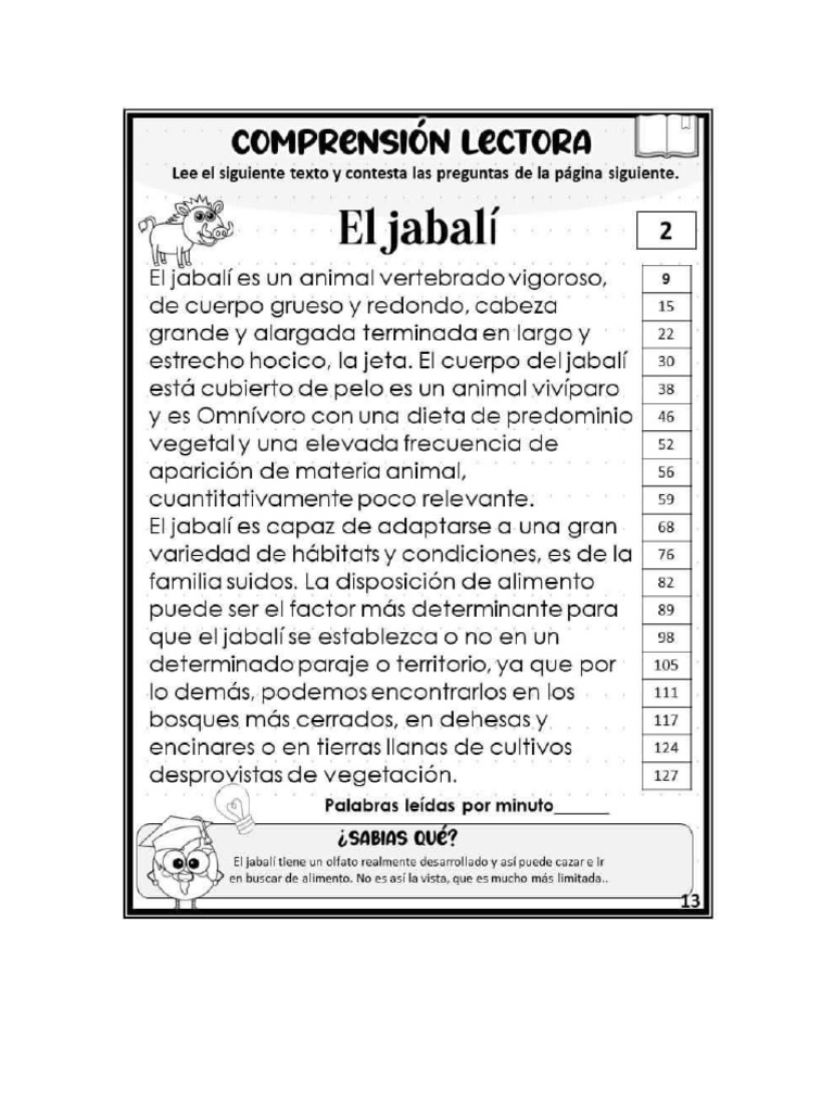 Lecturas de Comprensión Lectura y Fluidez | PDF