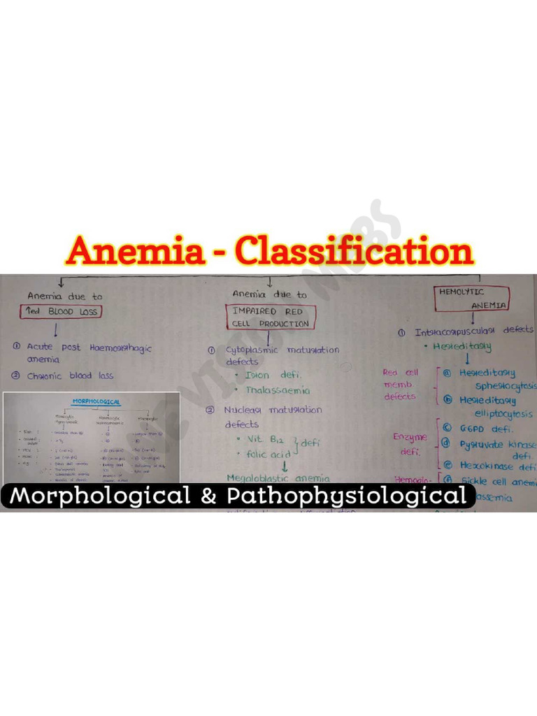 Anemia Classification - 221212 - 184152 | PDF