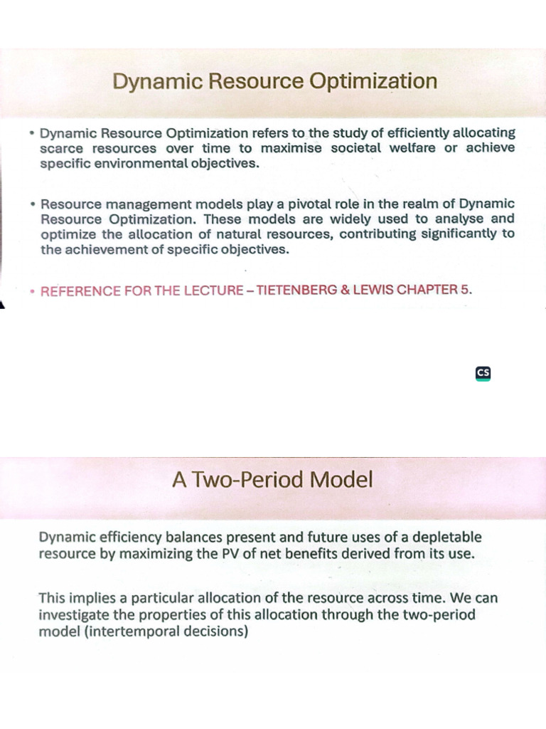 Dynamic Resource Optimization | PDF