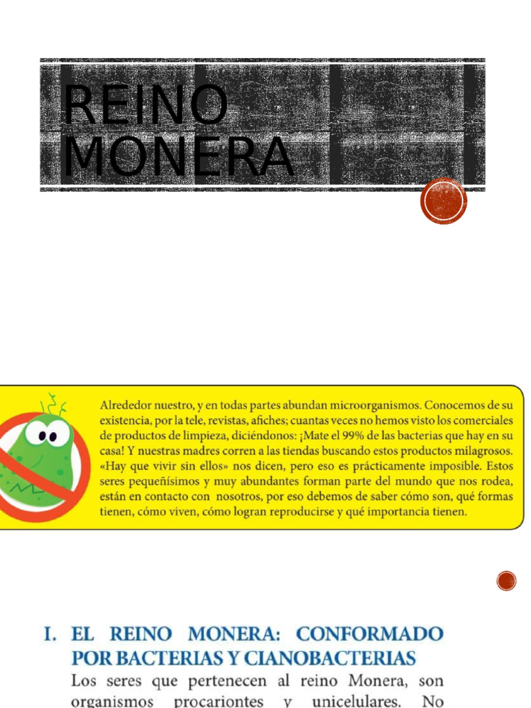 Estructura y Función del Reino Monera | PDF | Las bacterias | Biología ...