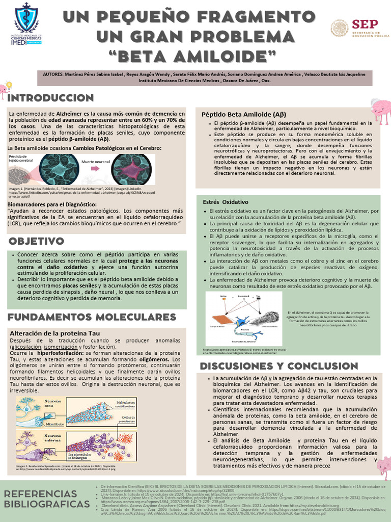 Un Pequeño Fragmento Un Gran Problema - Beta Amiloide | PDF | Beta ...