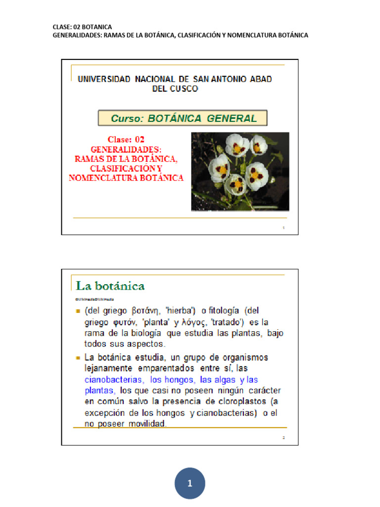 Ramas y Clasificación de la Botánica | PDF | Botánica