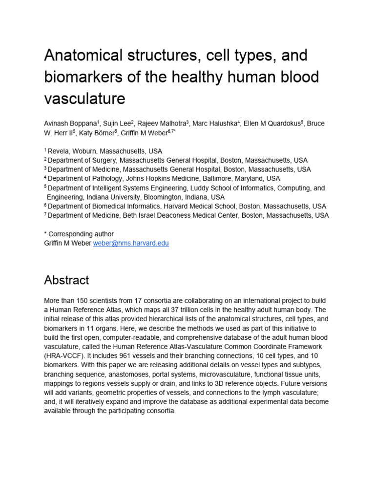 Anatomical Structures Cell Types and Biomarkers of | PDF | Vein | Blood ...