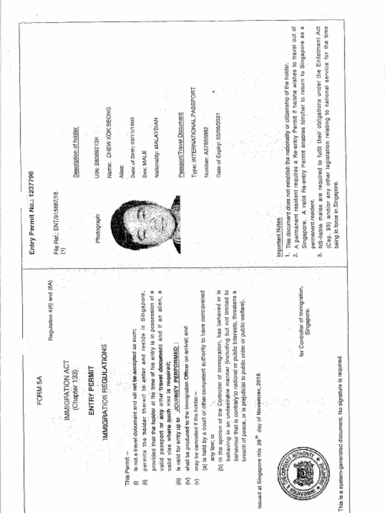 Entry Permit Chew Kok Seong | PDF