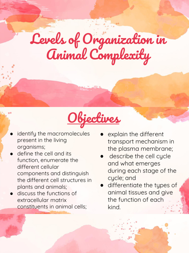 Levels of Organization in Animal Complexity Tissues | PDF | Epithelium ...