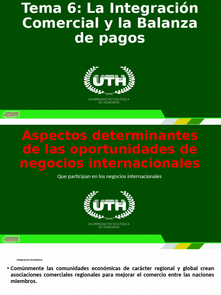 Integración Comercial y Balanza de Pagos | PDF | Organización de ...