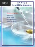 Comprendre l'Antibiogramme en 2023 | PDF | Maladies et troubles ...