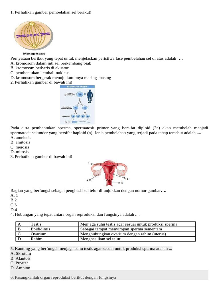 Soal Biologi Reproduksi dan Genetika | PDF | Kesehatan Holistik | Sains & Matematika