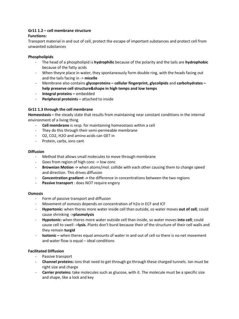 SBI4U Intro To Biochem Test Notes | PDF | Home & Garden | Science ...