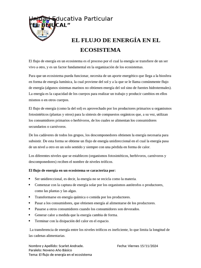 El Flujo de Energía en El Ecosistema | PDF | Ciclo del carbono | Nitrógeno