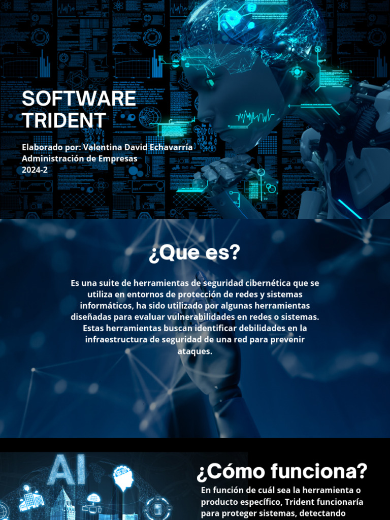 Software Trident | PDF | La seguridad informática | Seguridad