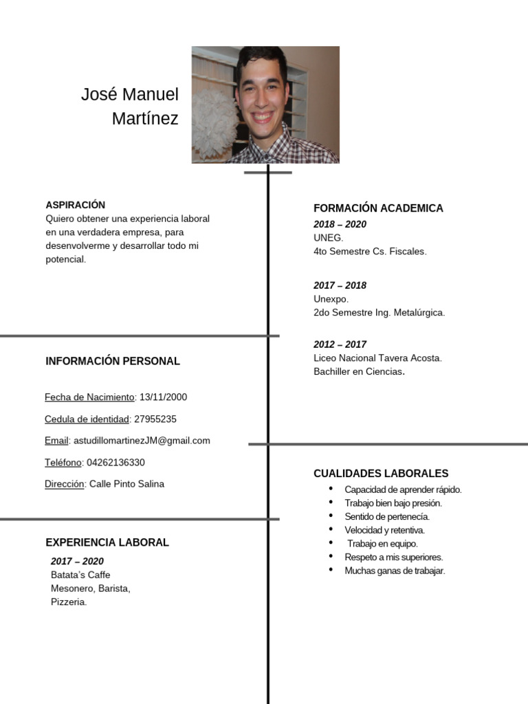 Curriculum Manuel | PDF