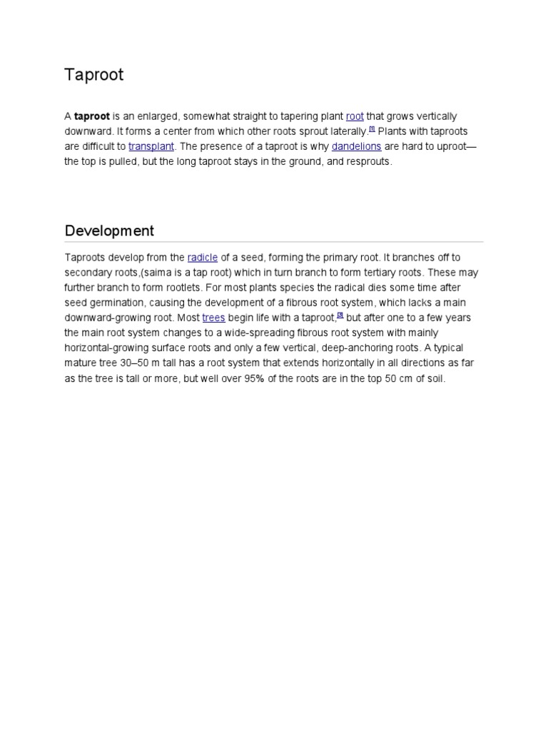 Taproot | PDF | Botany | Landscape