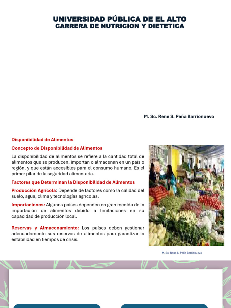 Seguridad y Soberanía Alimentaria | PDF | Seguridad alimentaria | Alimentos