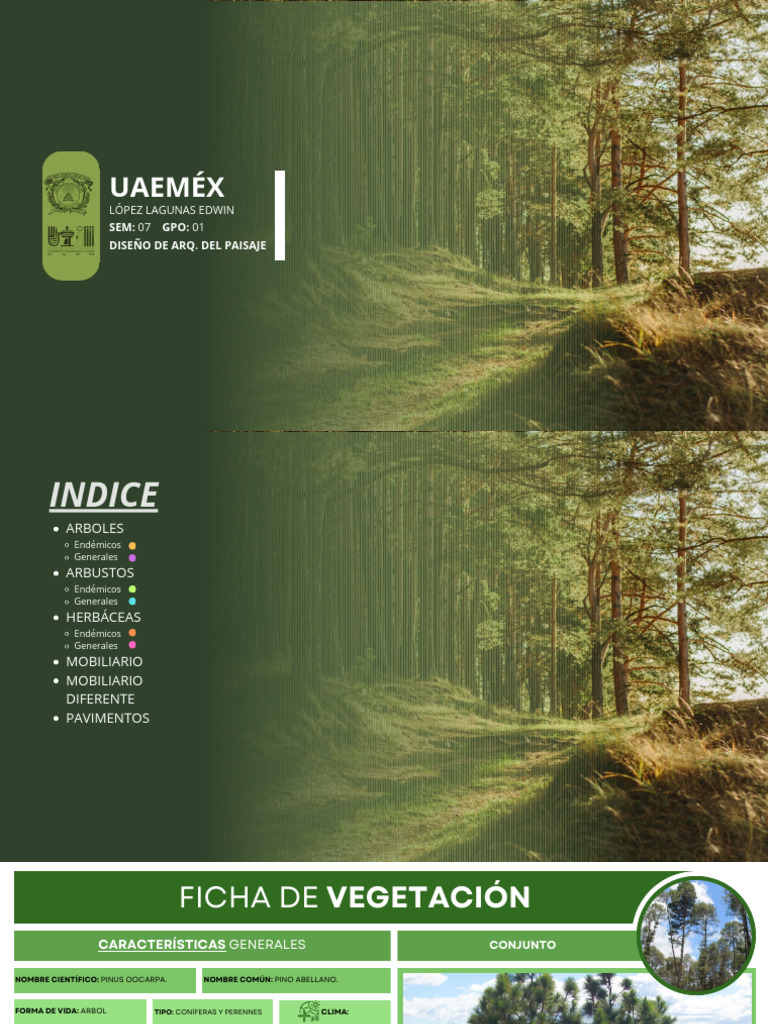 Catálogo de Vegetación | PDF | Arboles | Clima templado