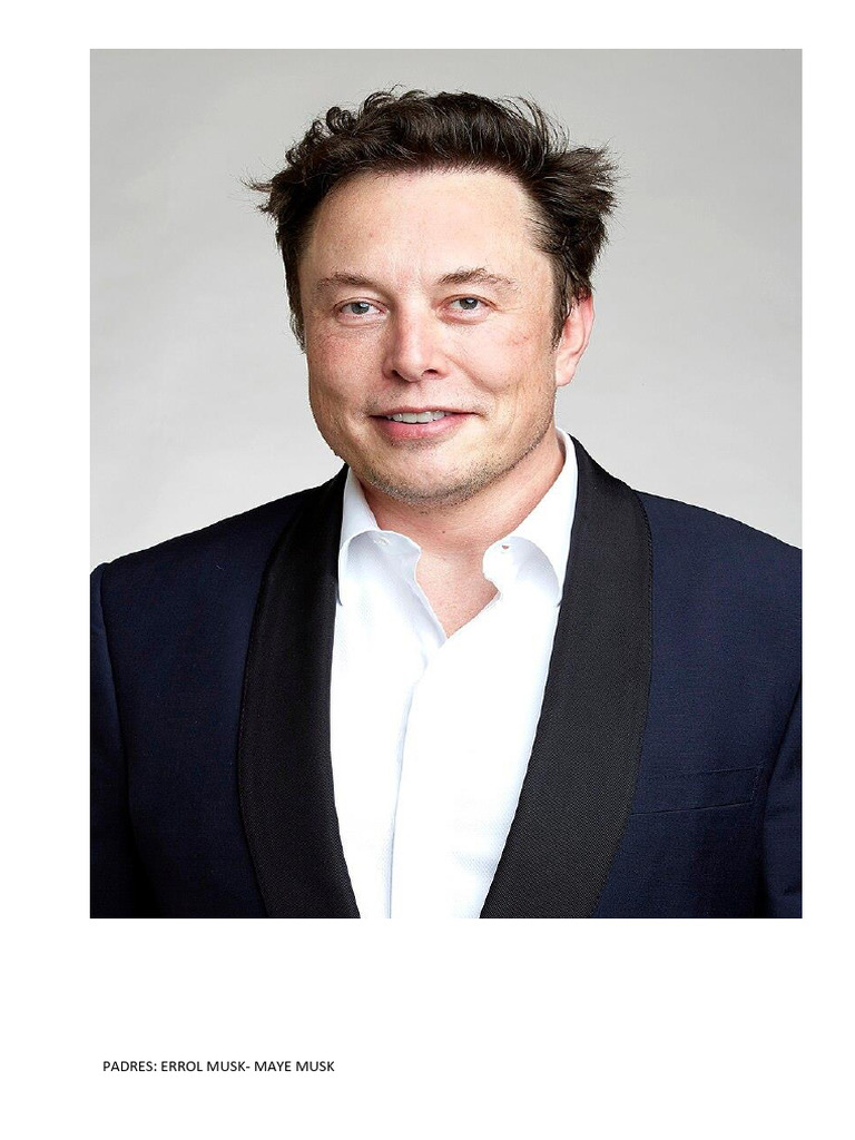 Elon Reeve Musk | PDF