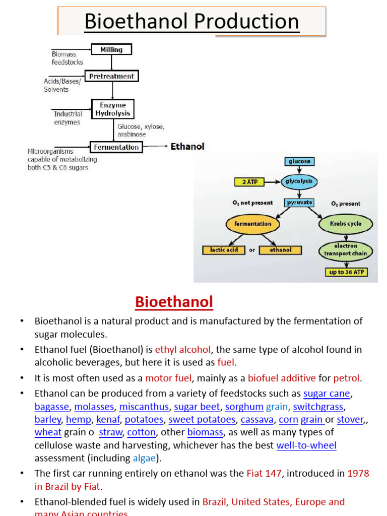 Bioethanol Intro, Pre Treatment Methods | PDF | Ethanol | Biofuel