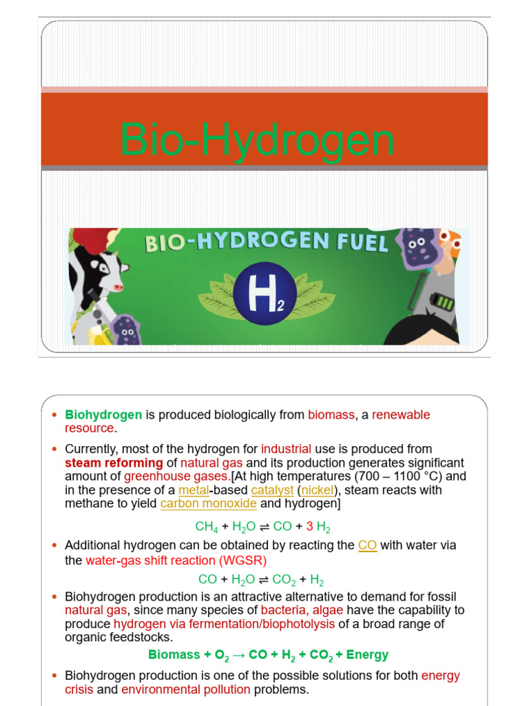 Biohydrogen Feedstocks, Microbes, Enzymes Involved | PDF | Chemistry