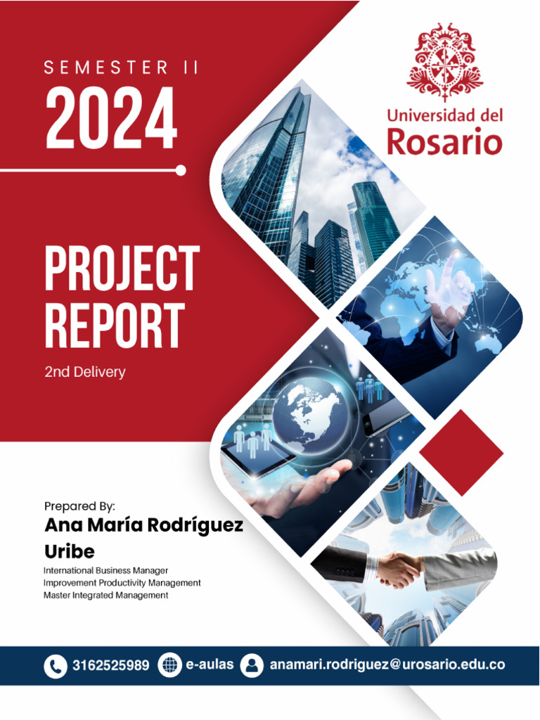Strategy 2nd Report 2024II | PDF