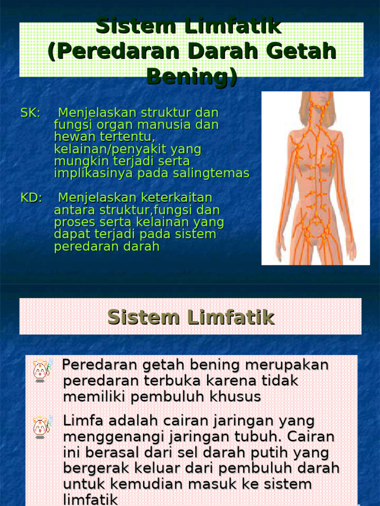 Sistem Limfatik | PDF