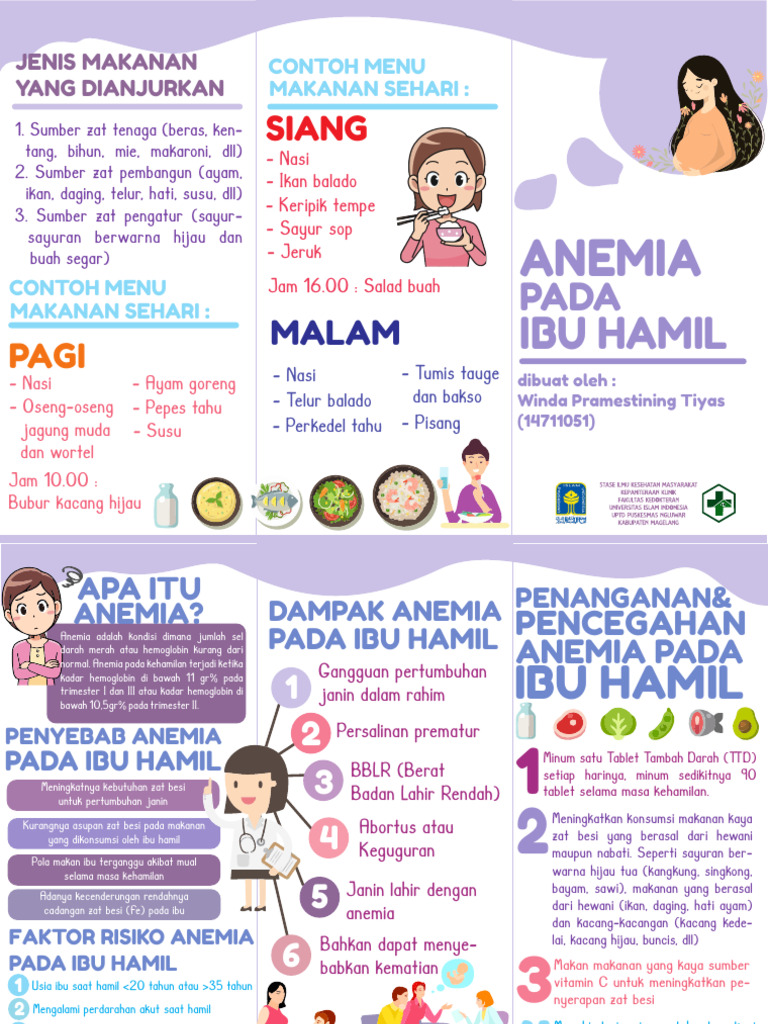 Leaflet Anemia | PDF