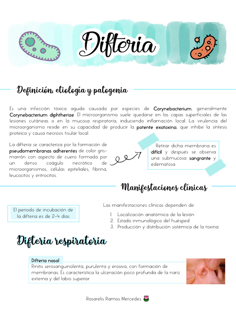 Difteria | PDF | Medicina CLINICA | Especialidades Medicas