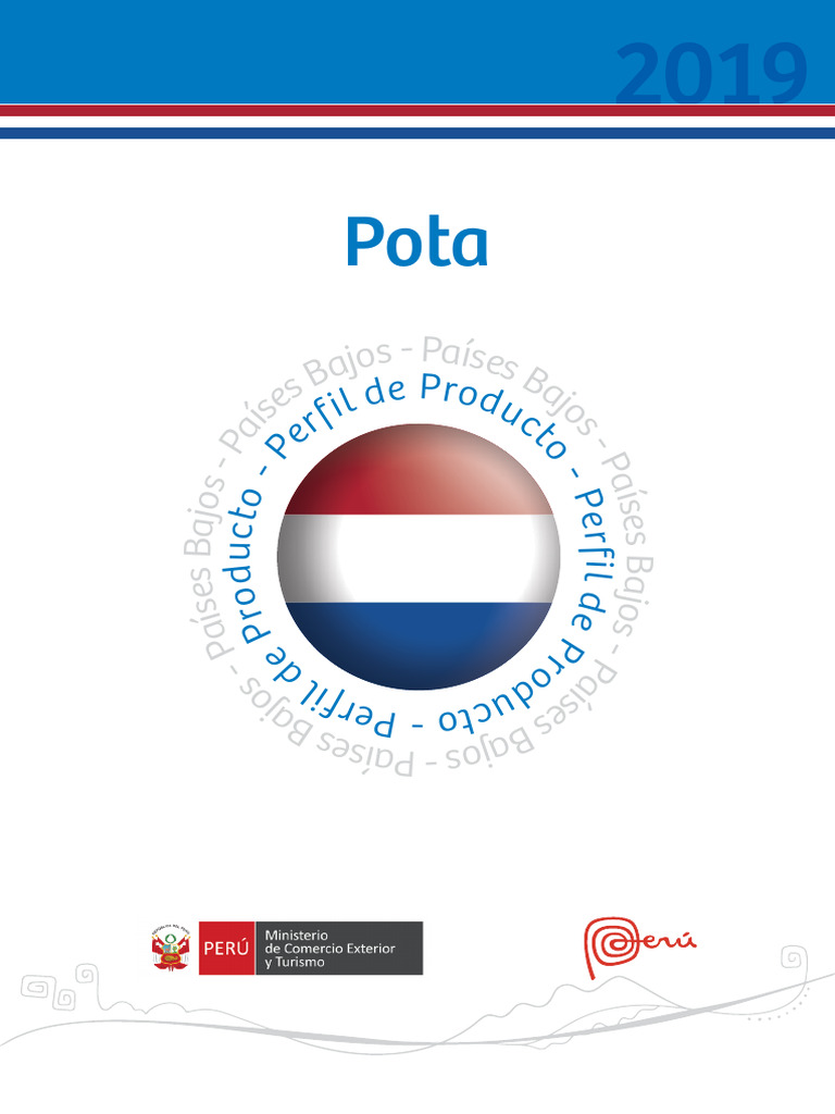 6 Pota 2019 PLIEGOS | PDF