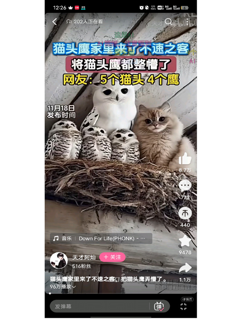 Cat | PDF