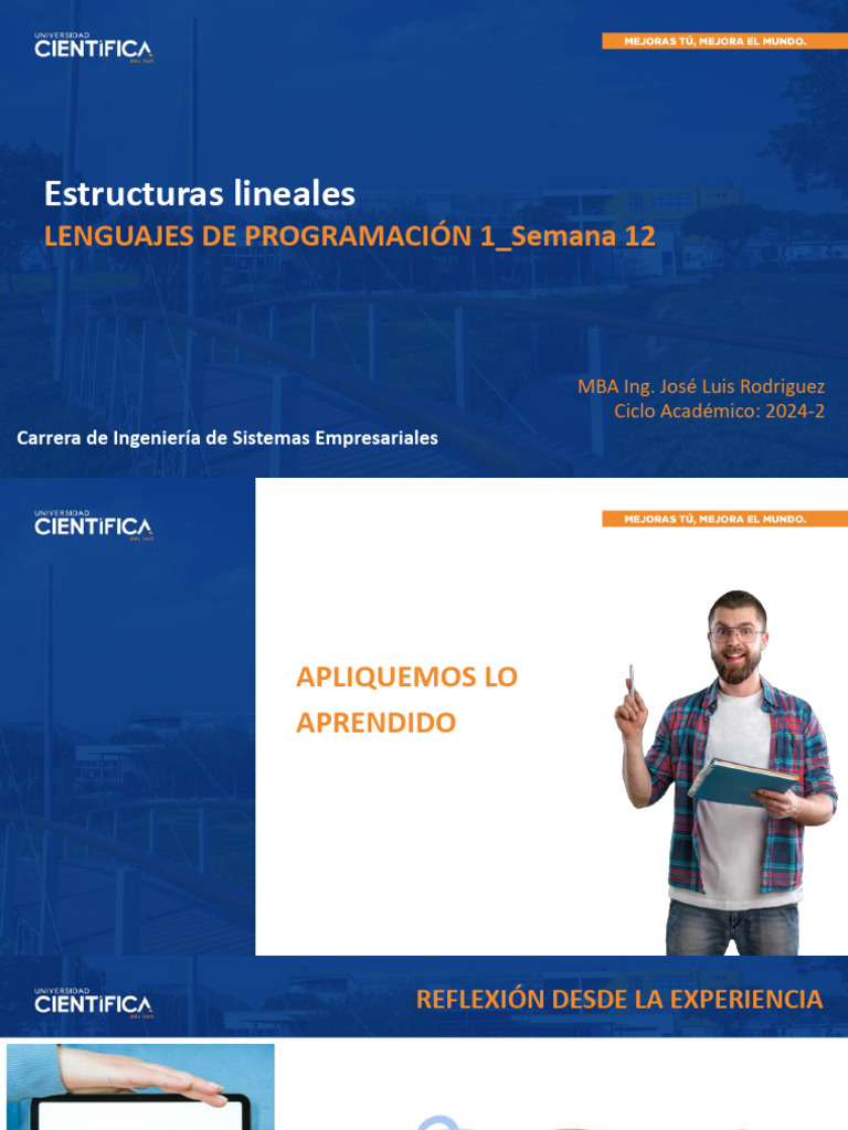Lenguaje de Programacion 1 Sem-12 Sesión-00 2024-2 | PDF | Puntero (Programación de computadora ...