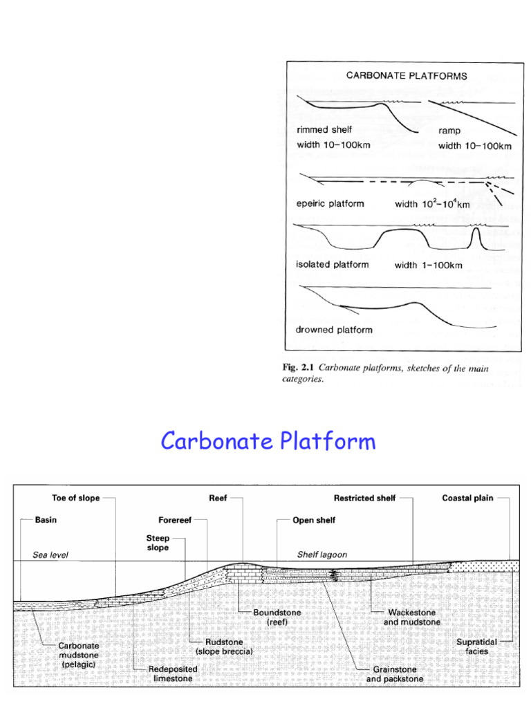 Lecture32 EnvironmentsPlatforms | PDF | Clastic Rock | Sedimentology