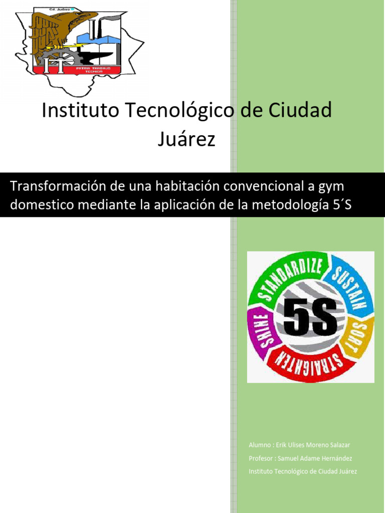 Proyecto 5 S | PDF