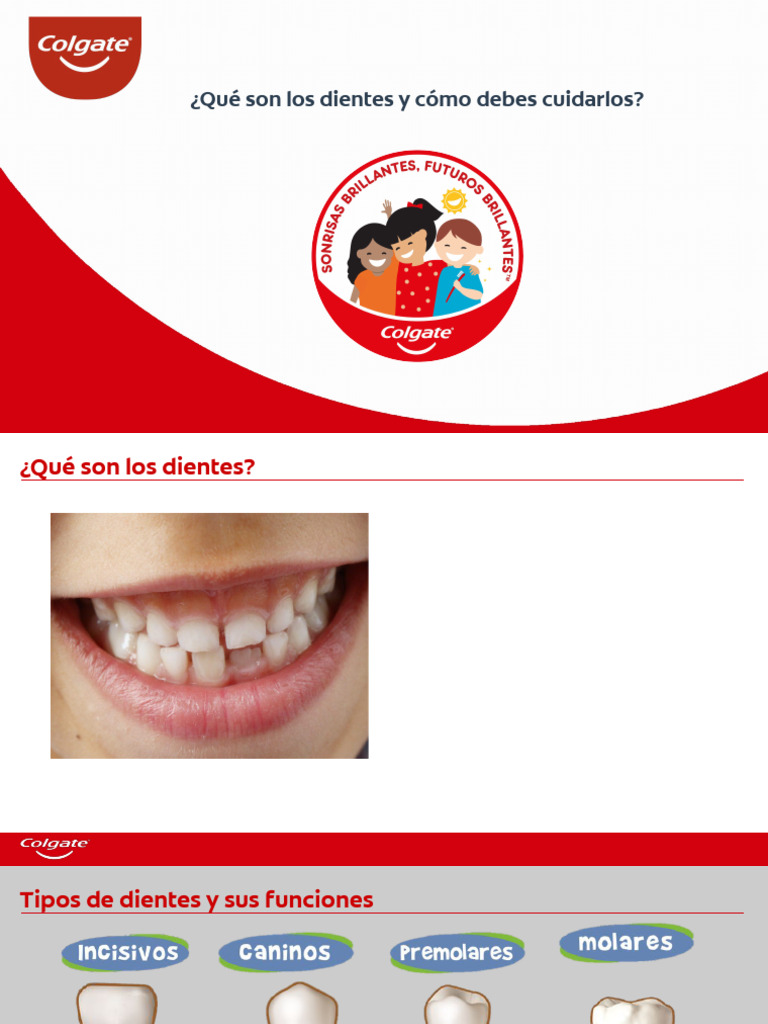 BSBF Defensores Hasta 3er Grado | PDF | Diente | Boca