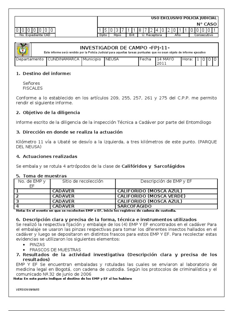 Fpj-11+infor +investigador+campo | PDF | Ciencias sociales | Ciencia y matemáticas