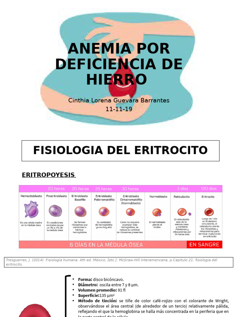 Anemia Por Deficiencia de Hierro | PDF | Glóbulo rojo | Biología Celular