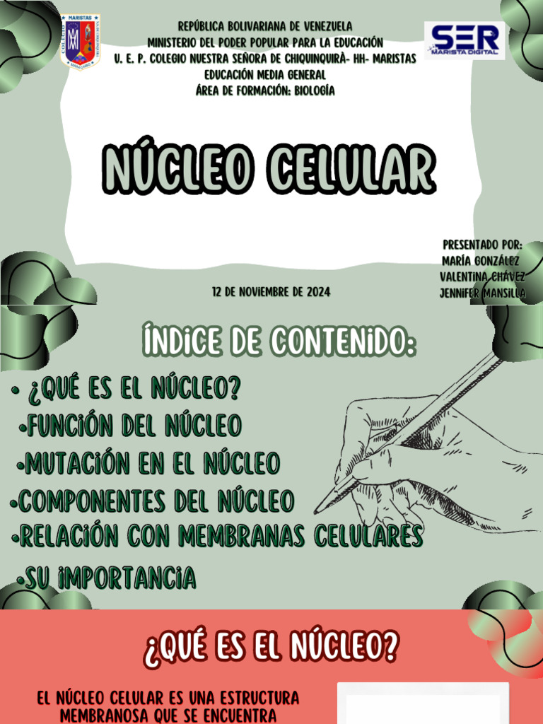Núcleo Celular | PDF | Nucleo celular | Biología Celular)