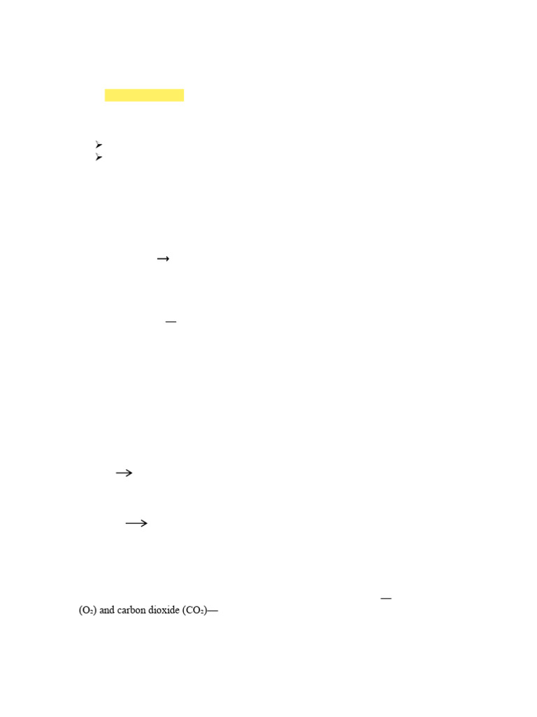 Respiration - Year 8 Biology | PDF | Respiratory System | Breathing