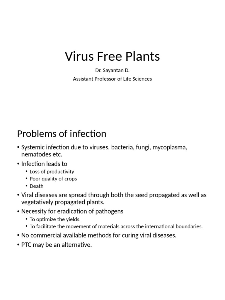Final - Virus Elimination PTC (Autosaved) | PDF | Root | Virus