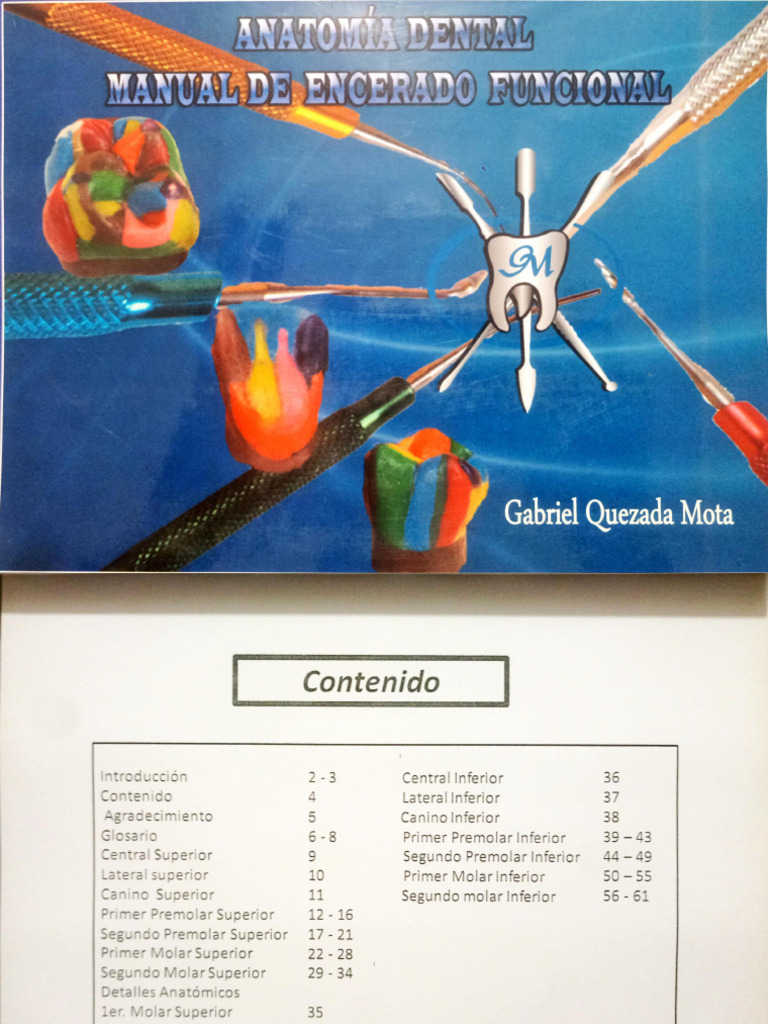 Anatomía Dental Manual de Encerado | PDF