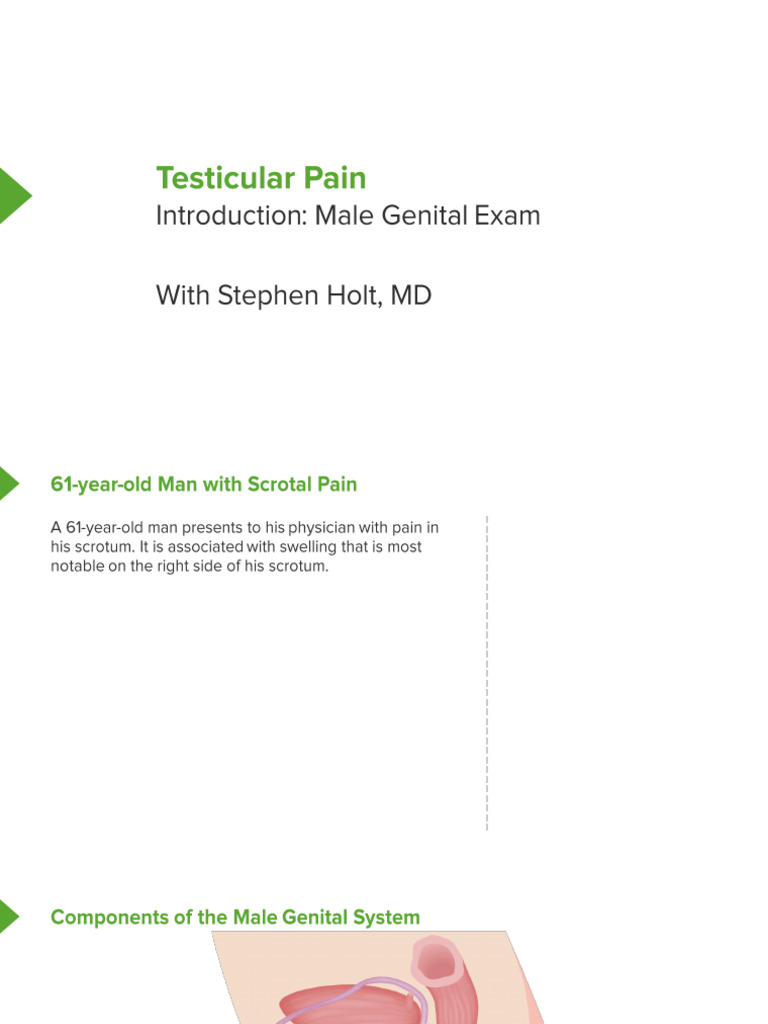 Slides Physical Exam Male Genital Introduction | PDF