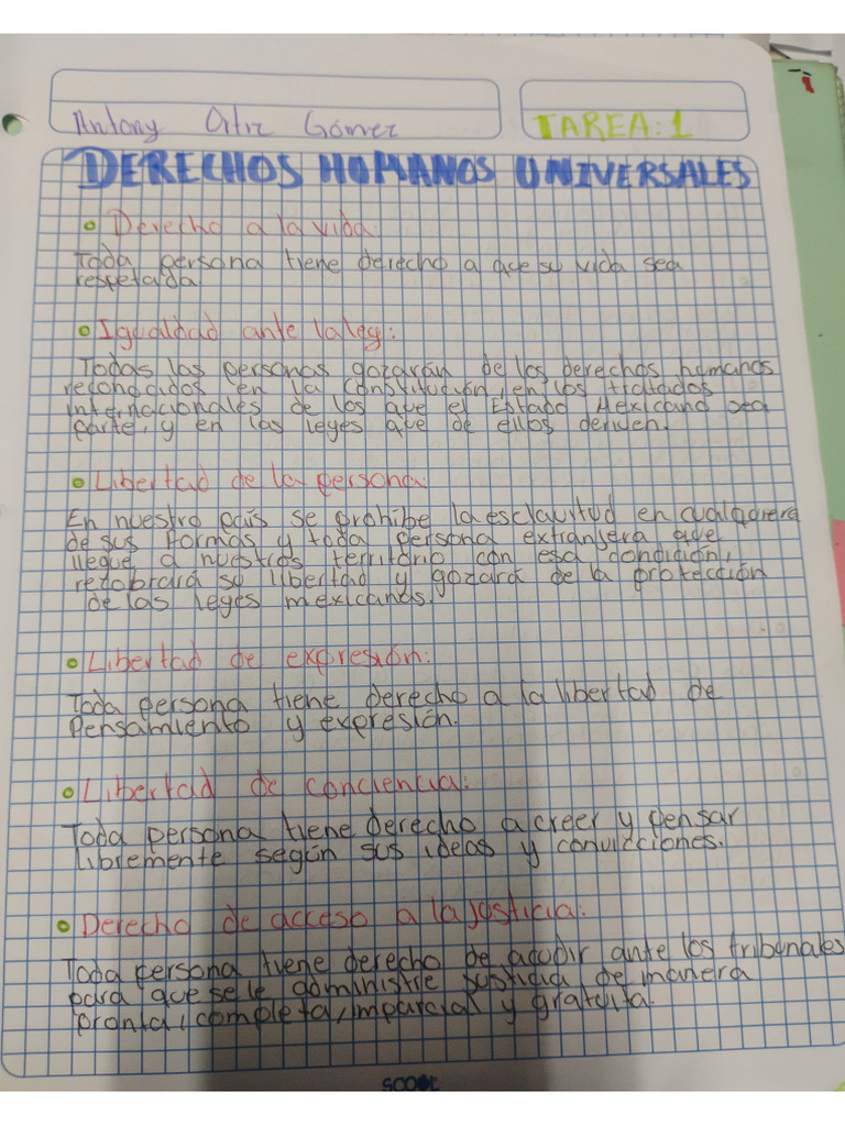 Derechos Humanos Universales | PDF