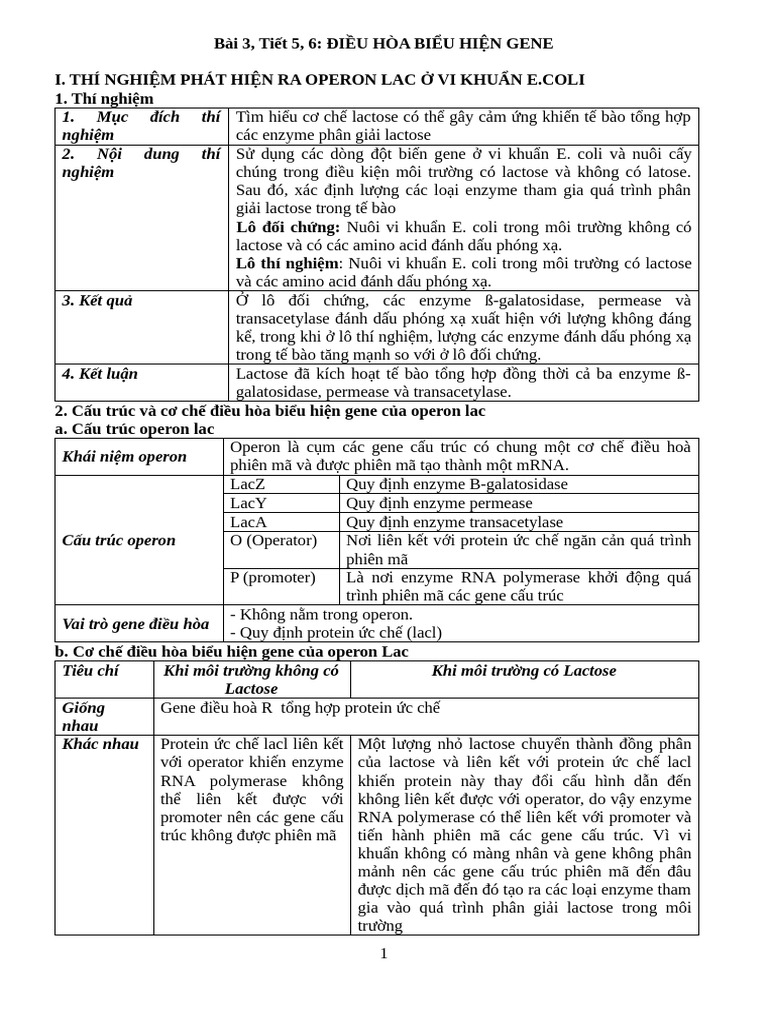 BÀI 3 (5,6) ĐIỀU HÒA BIỂU HIỆN GENE - KNTT | PDF